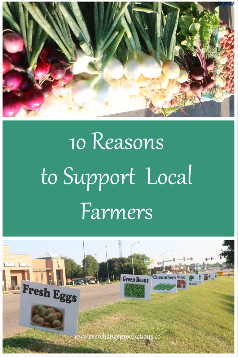 10 Reasons to Start Supporting Local Farmers