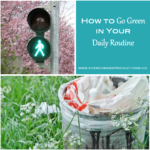 How to Go Green in Your Daily Routine