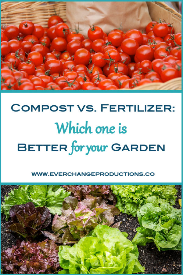 Compost Vs. Fertilizer: Which One is Better for your Garden