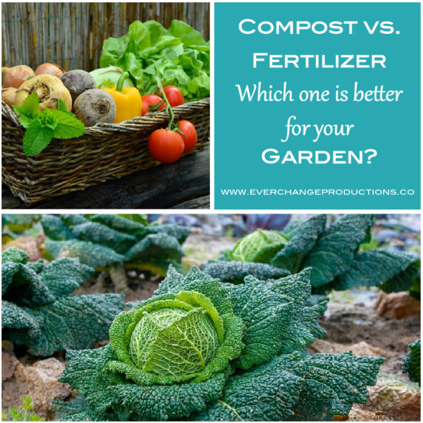Compost Vs. Fertilizer: Which One is Better for your Garden